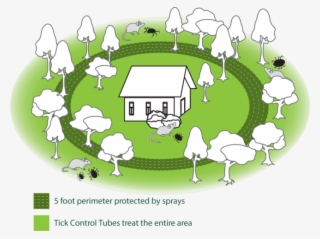 Upgrade Your Tick Control - Illustration - 650x486 PNG Download - PNGkit