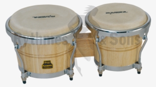 Bongo PNG, Free HD Bongo Transparent Image - PNGkit