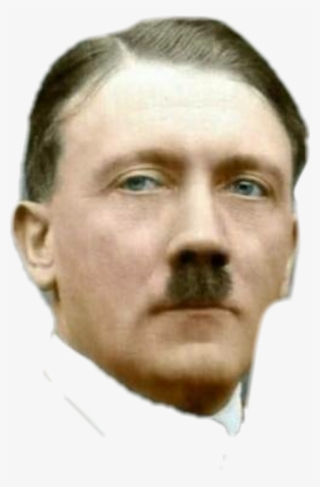 Hitler Colourised - 480x731 PNG Download - PNGkit