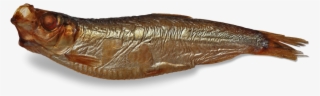 Smoked Fish - Lunge - 866x650 PNG Download - PNGkit