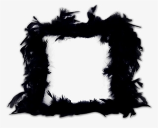 Black And White Feather - Black And White Feather Border - 3671x4023 ...