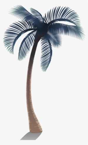 Enter Now >> - Goa Beach Coconut Tree - 372x600 PNG Download - PNGkit