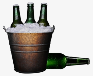 Tiger Beer Bucket Png - Tiger Beer 24x 330ml Bottles - 363x406 PNG ...