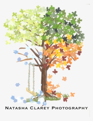 Plane-tree Family - 3392x4400 PNG Download - PNGkit