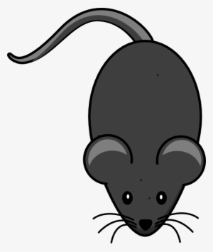 Clipart Png Mouse - Mouse Tail Clipart - 504x598 PNG Download - PNGkit