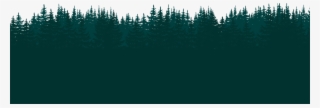 Trees-footer - Tree Footer - 1506x509 PNG Download - PNGkit