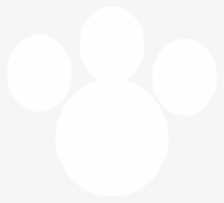 Graphic Transparent Stock Paw Print Png For Free Download - Circle ...