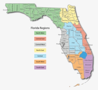 Before You Start - Florida Counties And Regions - 828x792 PNG Download ...