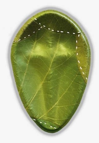 Picture Of Leaf - Crystal - 1000x960 PNG Download - PNGkit