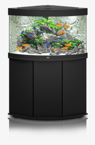 Trigon Line - Juwel Aquarium - 696x696 PNG Download - PNGkit