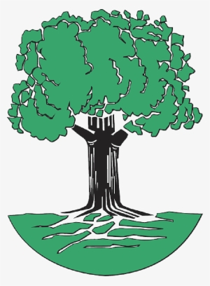 Tree, Roots, Cartoon, Free, Trees, Plant, - Oak Tree Clip Art ...