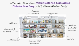 Violet Defense Applications - Makes A Man Healthy Wealthy - 1000x647 ...