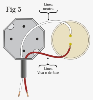 Tenemos La Conexión De Un Tomacorriente Sencillo De - Roseta Fase Y Neutro - 630x676 PNG ...