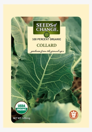 Organic Collard Greens Seeds - Seeds Of Change - 573x573 PNG Download ...
