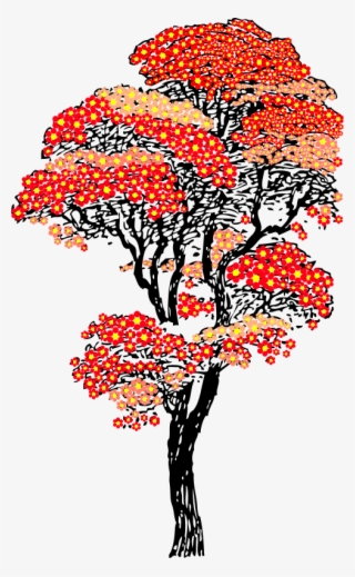 Download Transparent Proud And Tall Tree 2d Trees - White Tree Vector ...