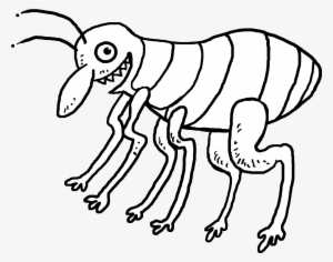 Flea Drawing At Getdrawings - Drawing Of A Flea Easy - 1654x1349 PNG ...