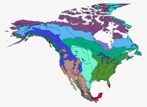 Treeline Map - 878x626 PNG Download - PNGkit