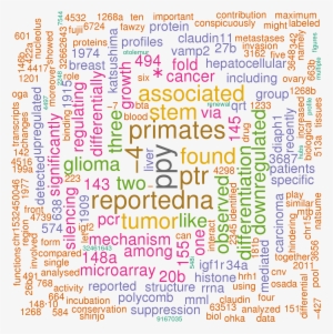 Stem Loop Sequence Hsa Mir - 1296x1252 PNG Download - PNGkit