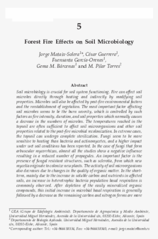 Forest Fire Effects On Soil Microbiology - Environment Pollution In ...