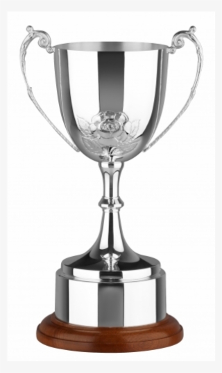 Rugby Silver Trophy - 500x500 PNG Download - PNGkit