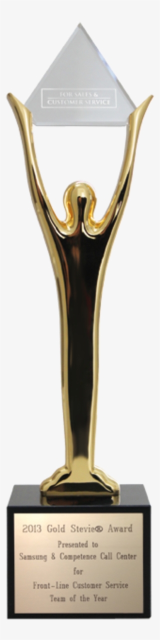 Front-line Customer Service Team Of The Year - Trophy - 900x1752 PNG ...