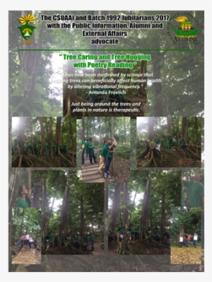 Hug A Tree And Win A Prize - Thuya - 628x420 PNG Download - PNGkit