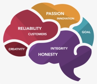 Our Core Values - Brain Vector Graphic Png - 1124x1019 PNG Download ...