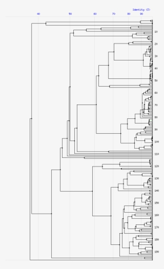 Tree For Family M26 - Diagram - 800x1085 PNG Download - PNGkit