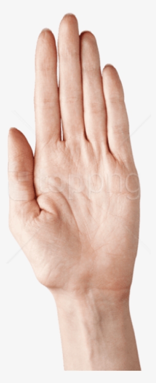 Finger Arm - Bfdi Hands - 1000x3629 PNG Download - PNGkit