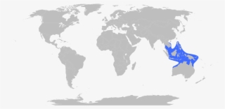 Sea Wasp Or Box Jellyfish Range Silhouette Cameo, Map - Blue Ringed ...