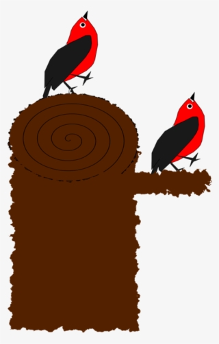 Woodpecker Computer Icons Bird Rooster Drawing - Sketsa Burung Anis ...