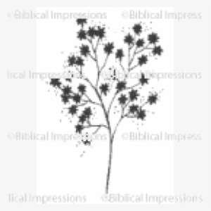 Baby Breath Flower Png - 245x700 PNG Download - PNGkit