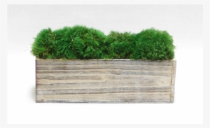 - Wooden Rect Short Container White Stain - Stain - 800x800 PNG ...