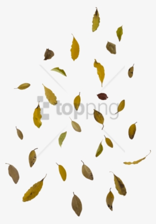 Free Png Falling Leaf Overlay Png Image With Transparent - Transparent ...