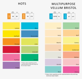 Best Resume Color Paper - Diagram - 676x617 PNG Download - PNGkit