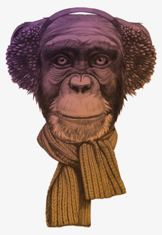 Ape Thinker's Ventures Background - Monkey With Scarf - 600x633 PNG ...