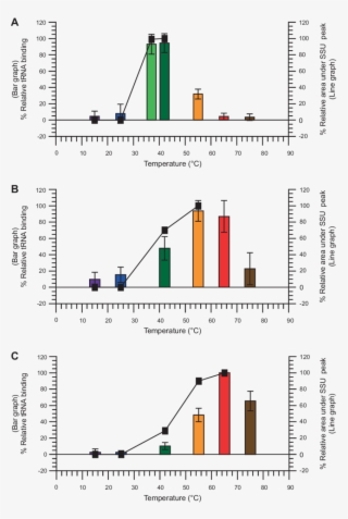 Percent Relative Trna Binding With Bar Graph Colors - Diagram ...