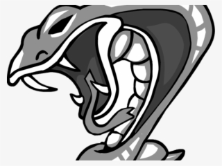 Drawn Snake Snake Png - Snake - 640x480 PNG Download - PNGkit