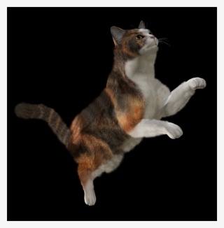 Jumping Cat Png - Cat Jumping Transparent Background - 636x795 PNG ...