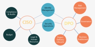 01 Ciso To Dpo Responsibility Transfer - Diagram - 800x393 PNG Download ...
