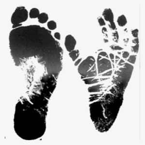 Chimpanzee Footprint Vs Human - 369x368 PNG Download - PNGkit