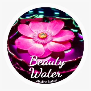 Beautiful Skin - 12 Stickers - - Flowers - 600x600 PNG Download - PNGkit