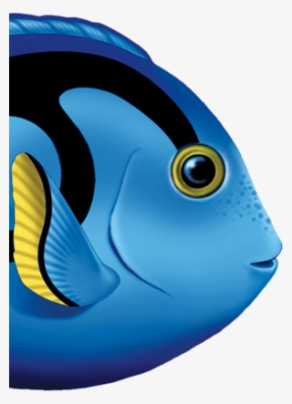 Tropical Fish Series Pool Mosaics - Blue Tang Fish Clipart - 705x976 ...