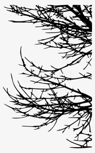 Tree Line PNG, Free HD Tree Line Transparent Image - PNGkit