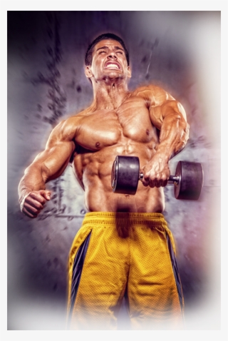 Explosive Muscle Growth - Bodybuilding - 552x826 PNG Download - PNGkit