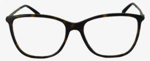 Front View - Glasses - 1200x472 PNG Download - PNGkit