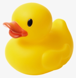 Rubber Duck PNG, Free HD Rubber Duck Transparent Image - PNGkit