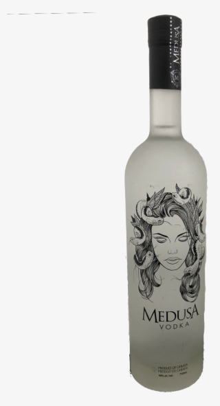 Medusa Clipart Transparent - Mlp Equestria Girls Medusa - 643x1024 PNG ...