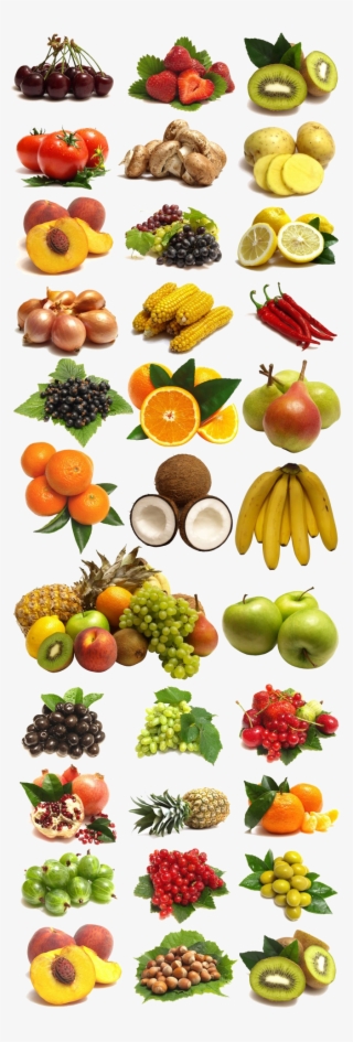Banner Collection Of Fruits And High Quality - Fruit And Vegetables ...