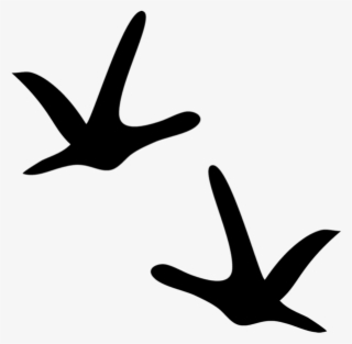 Turkey Tracks - Turkey Tracks Svg - 1050x1549 PNG Download - PNGkit